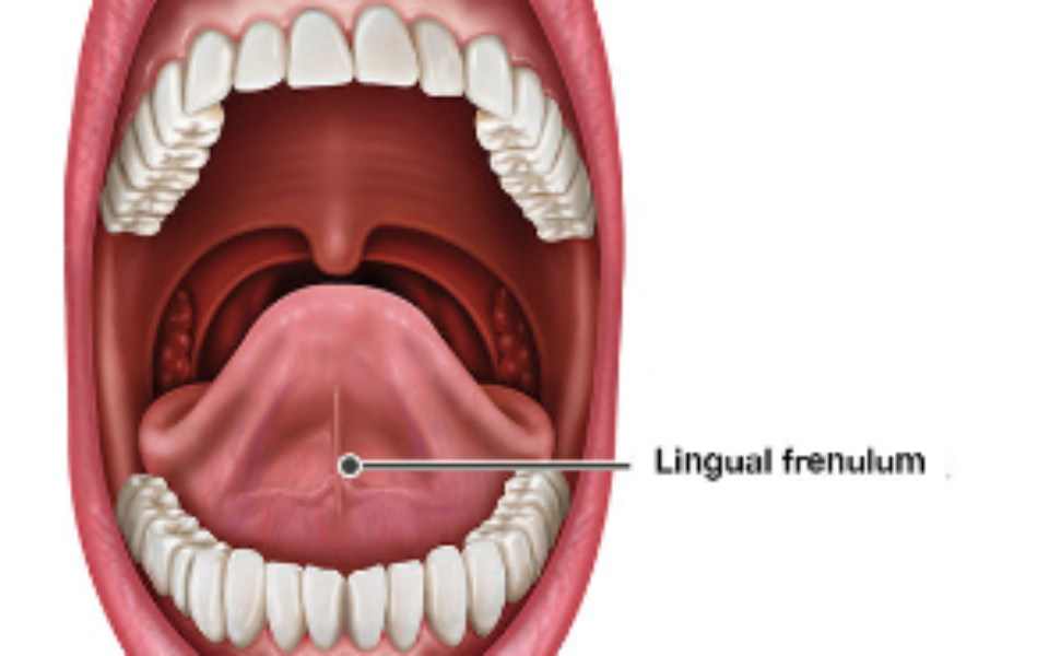 Family Orthodontics | Childrens' Dentistry & Ortho | Kids Orthodontics Services in Toronto